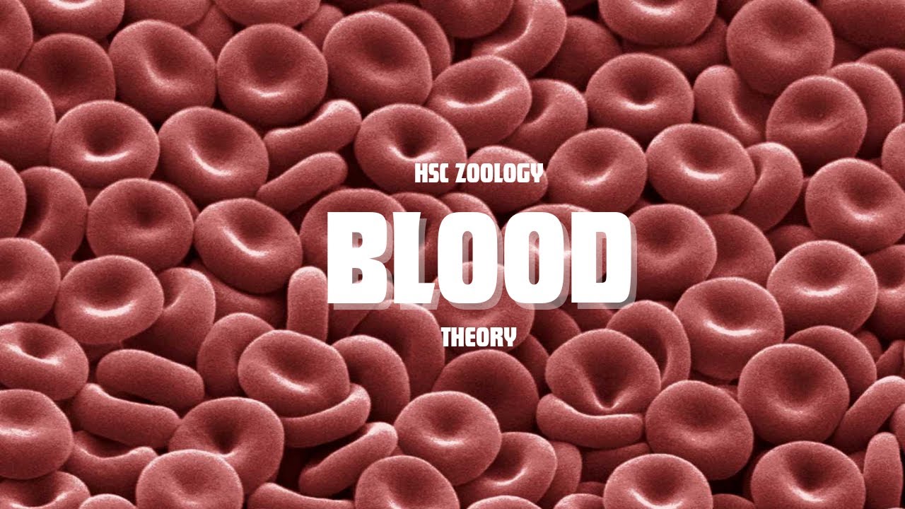 Blood full chapter revision in 3 hours - YouTube