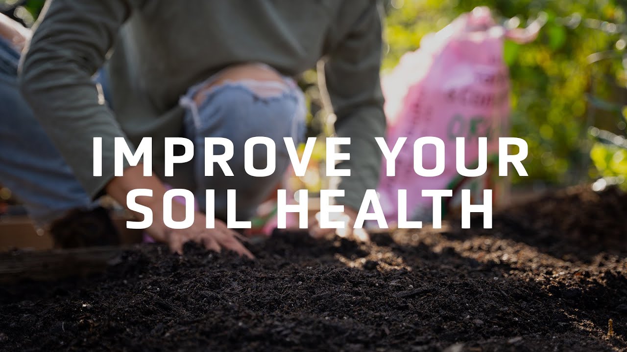 Tips for Improving Your Soil Health | Long-Term Soil Investment - YouTube