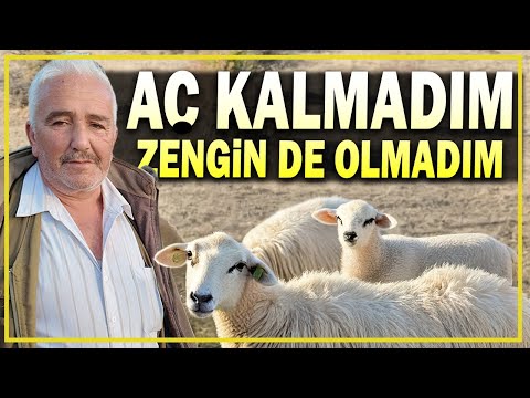 Emekli Çobandan Hayat Dersi - Kimseye Muhtaç Olmadım - Belgesel İzle
