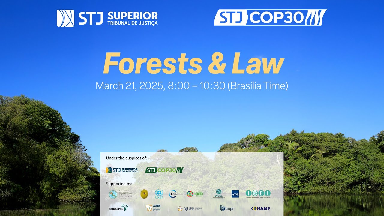 Forests & Law (03/21) - YouTube