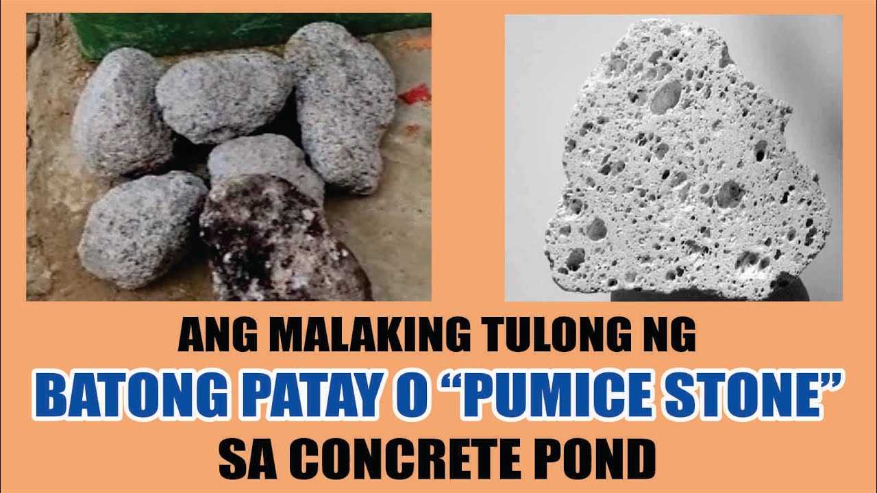 EP. #30 - MAHALAGA SA CONCRETE POND NA MAY BATONG PATAY O PUMICE STONE ...