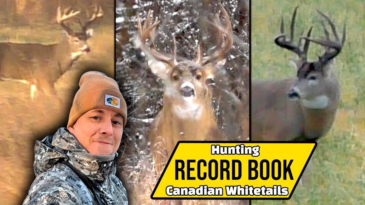The Hunt For A Record Book Buck: Alberta Whitetail Season 2024! - YouTube