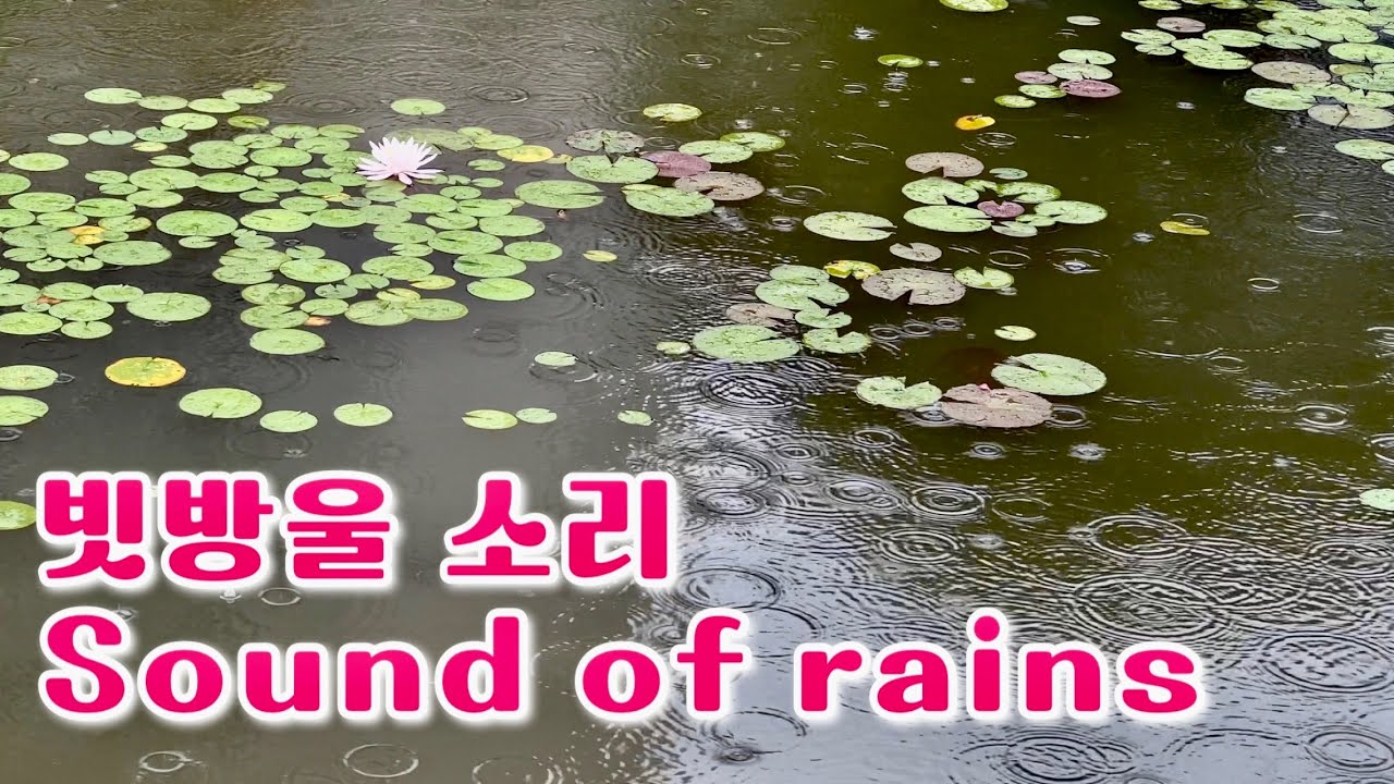 빗소리 Sounds of rain... 여름날 더위를 잊으시고, 힐링하세요 / Healing music with the ...