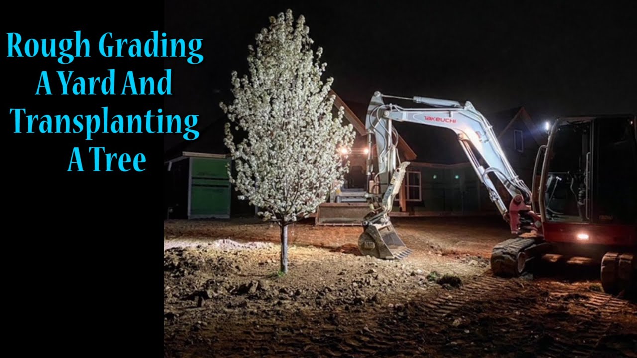 Rough Grading A New Construction Yard And Transplanting A Tree - YouTube
