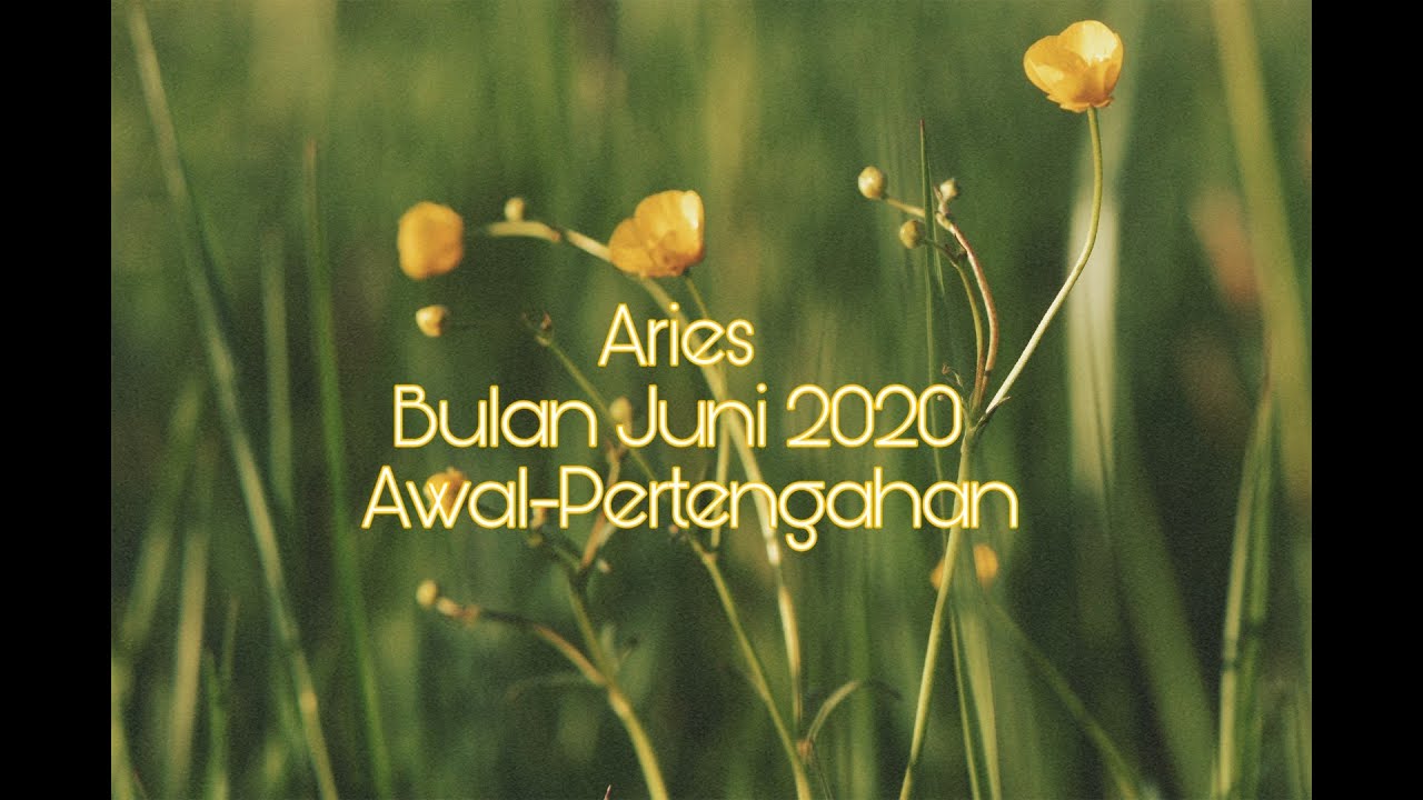 Aries Bulan Juni 2020 (Awal-Pertengahan) - YouTube