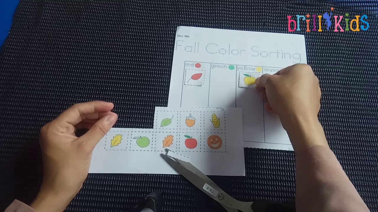 Fall Color Sorting || Aktivitas Montessori - YouTube
