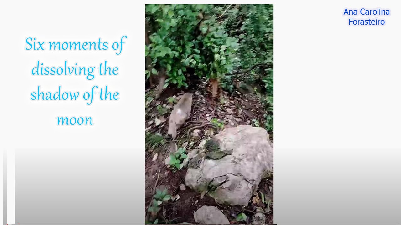 Six moments of dissolving the shadow of the moon - YouTube