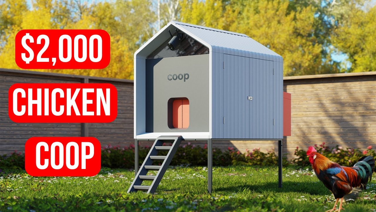 A SMART CHICKEN COOP FOR THE BACKYARD. СHICKEN COOP BUILD - YouTube