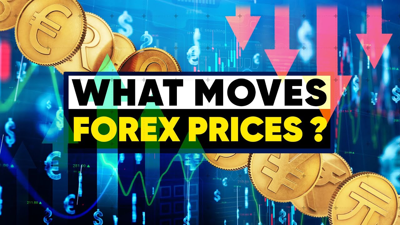 Forex - What Moves the World's Biggest Market? - YouTube