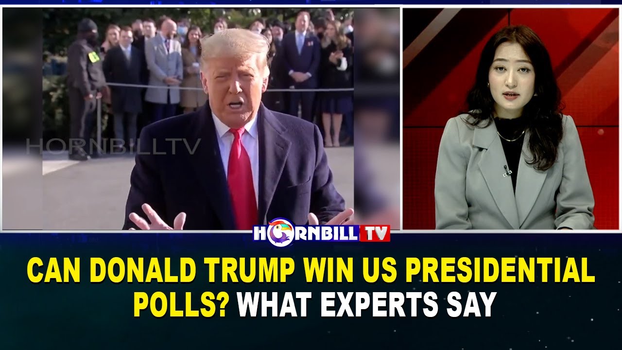 CAN DONALD TRUMP WIN US PRESIDENTIAL POLLS? WHAT EXPERTS SAY - YouTube