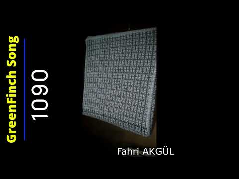 Flurya Kuşu ötümü 1090