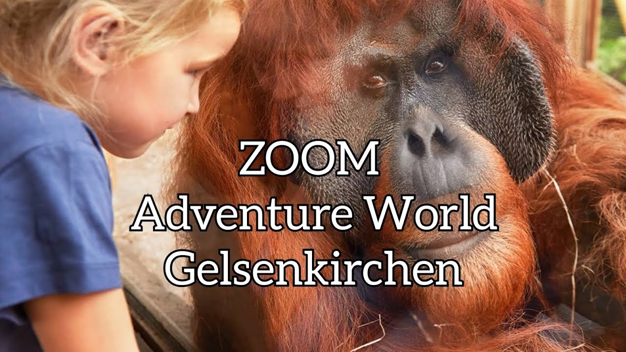 ZOOM Adventure World Gelsenkirchen / ZOOM Erlebniswelt Gelsenkirchen ...