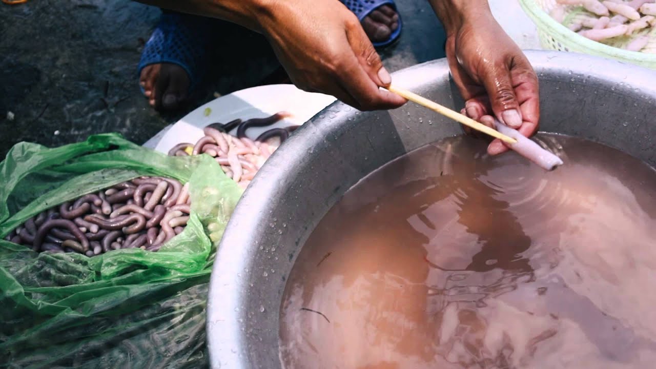 Preparing sea worm dish on Quan Lan island, Vietnam - YouTube