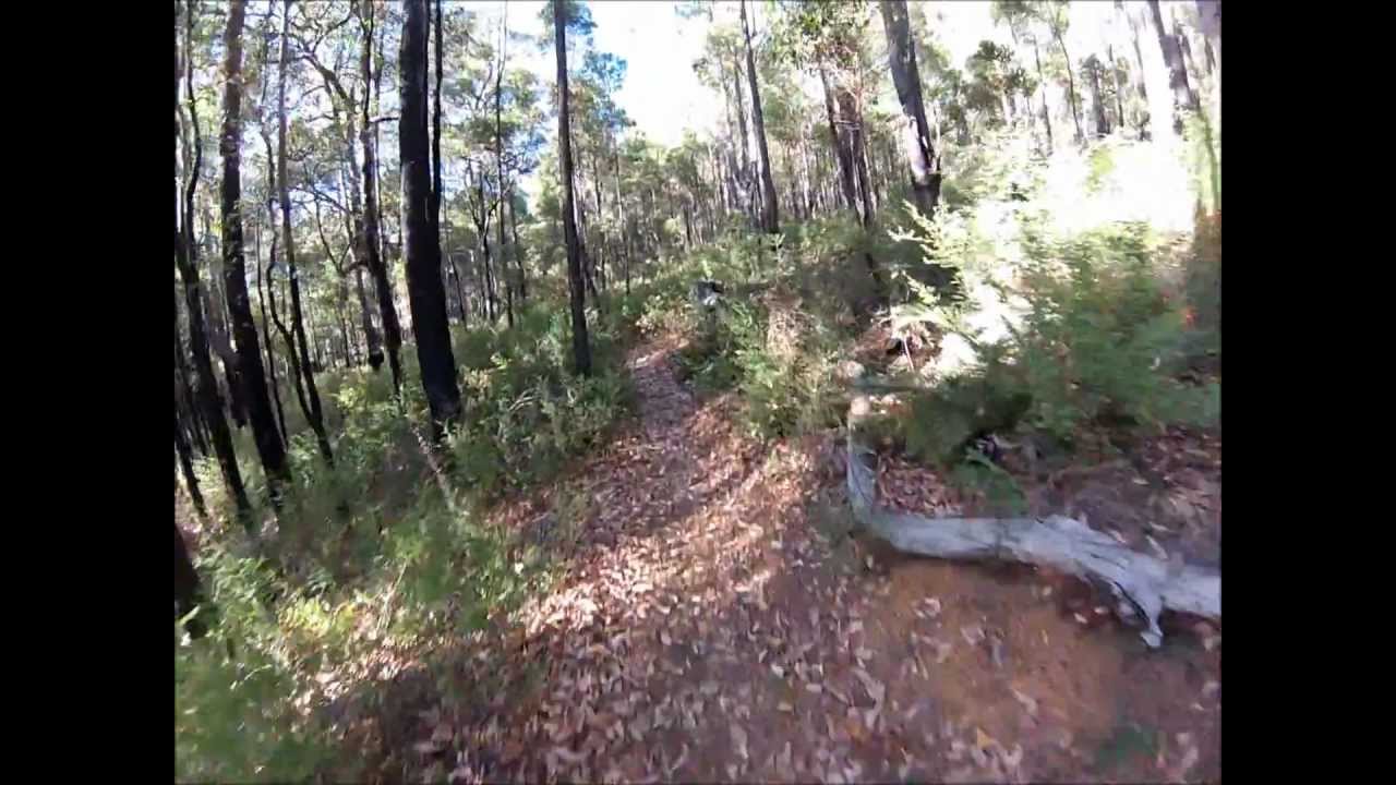 Pallet Trail 23.2.13 - YouTube