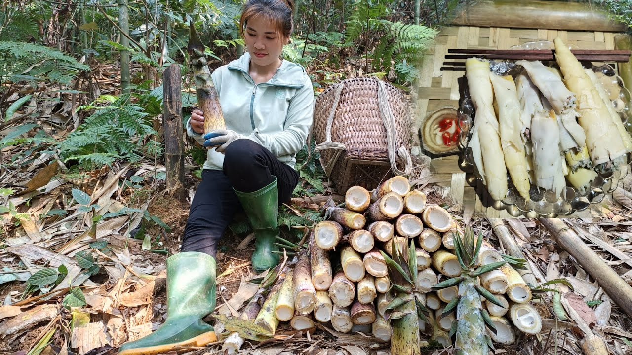 Go to the forest to pick boiled bamboo shoots, make a drying rack, and ...