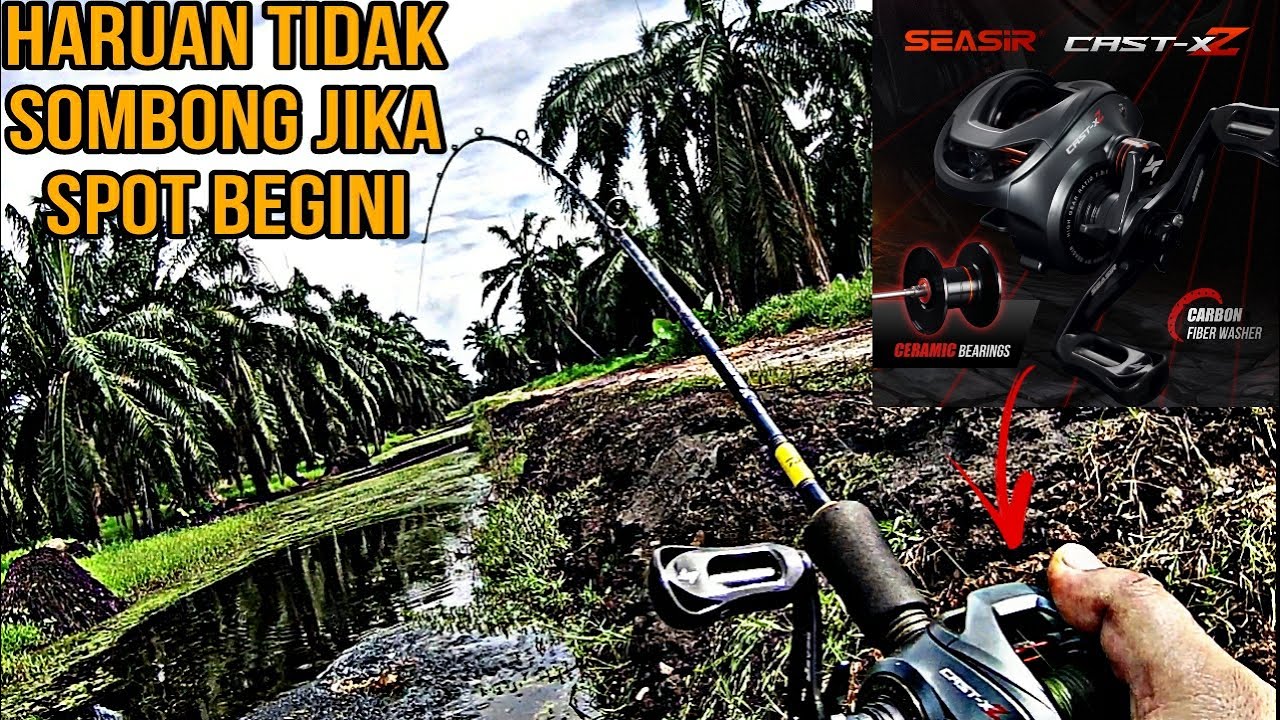 Casting haruan di spot parit baru cuci | casting snakehead - YouTube