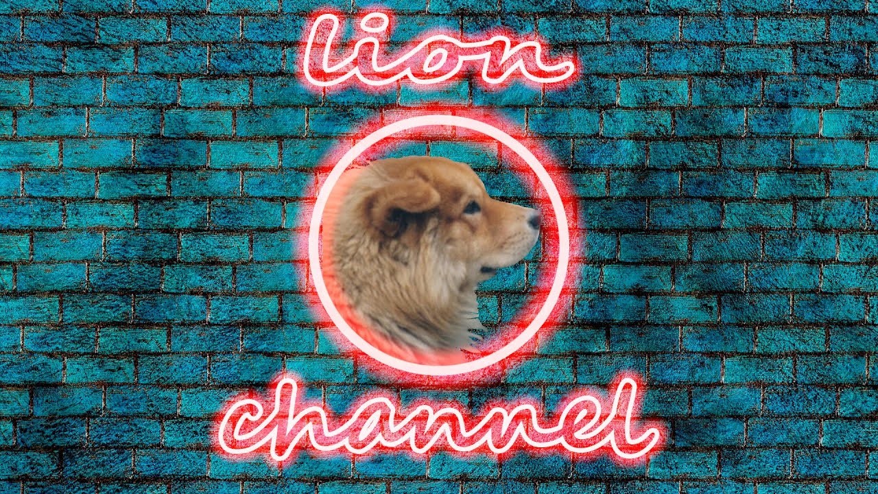 LION CHANNEL - YouTube