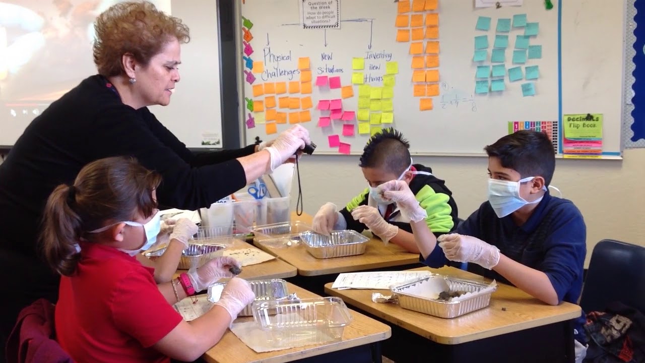 SIOP Component -Interaction with Groupings -Hope Brown - YouTube