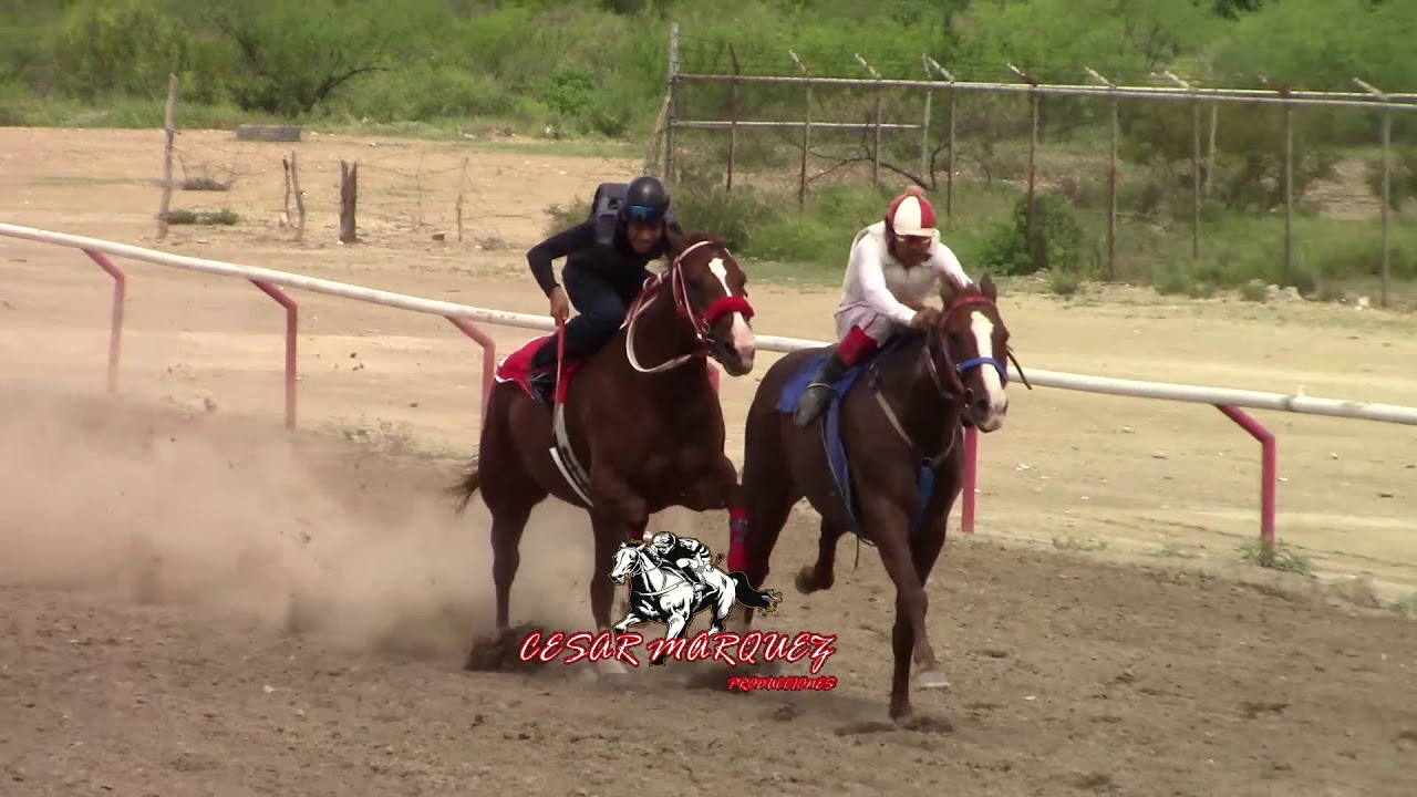 LA RAYADA VS LA MARIA MITOTES - YouTube