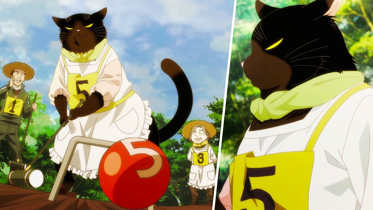 Yukichi Playing Gateballs With Neighbour's | The Masterful Cat Is ...