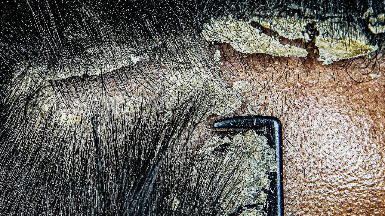 Ultimate Relaxation with Comb #DKMO3312 - YouTube