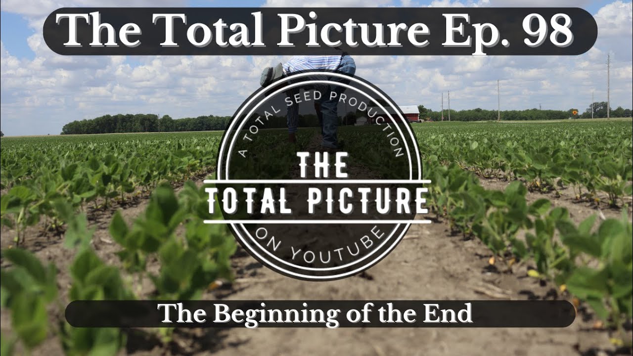 Total Picture Ep. 98: The Beginning of the End - YouTube