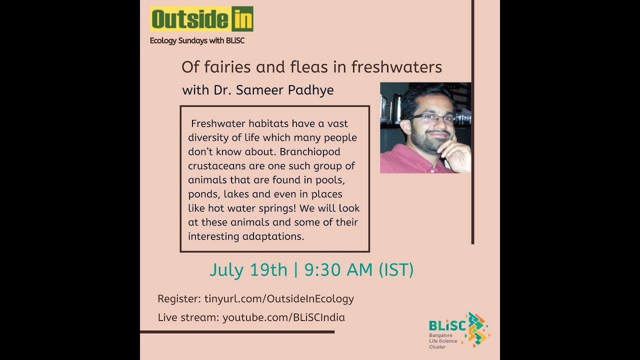 OutsideIn: Of fairies and fleas in freshwaters with Dr. Sameer Padhye ...