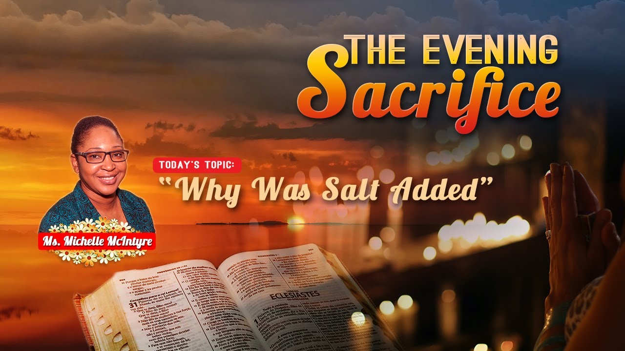 Why Was Salt Added | Michelle McIntyre - YouTube