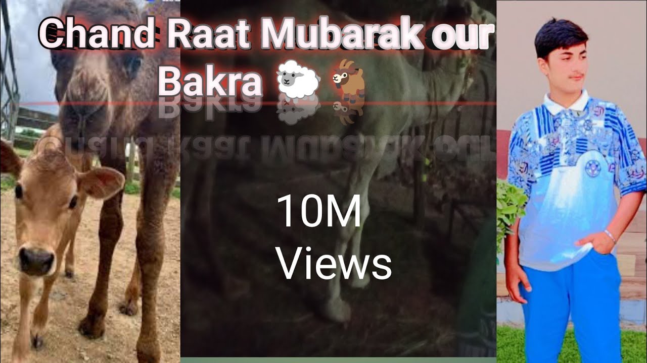 Chand Raat Mubarak our Bakra 🐑🐐#shots||how to make Bakra🐐 - YouTube
