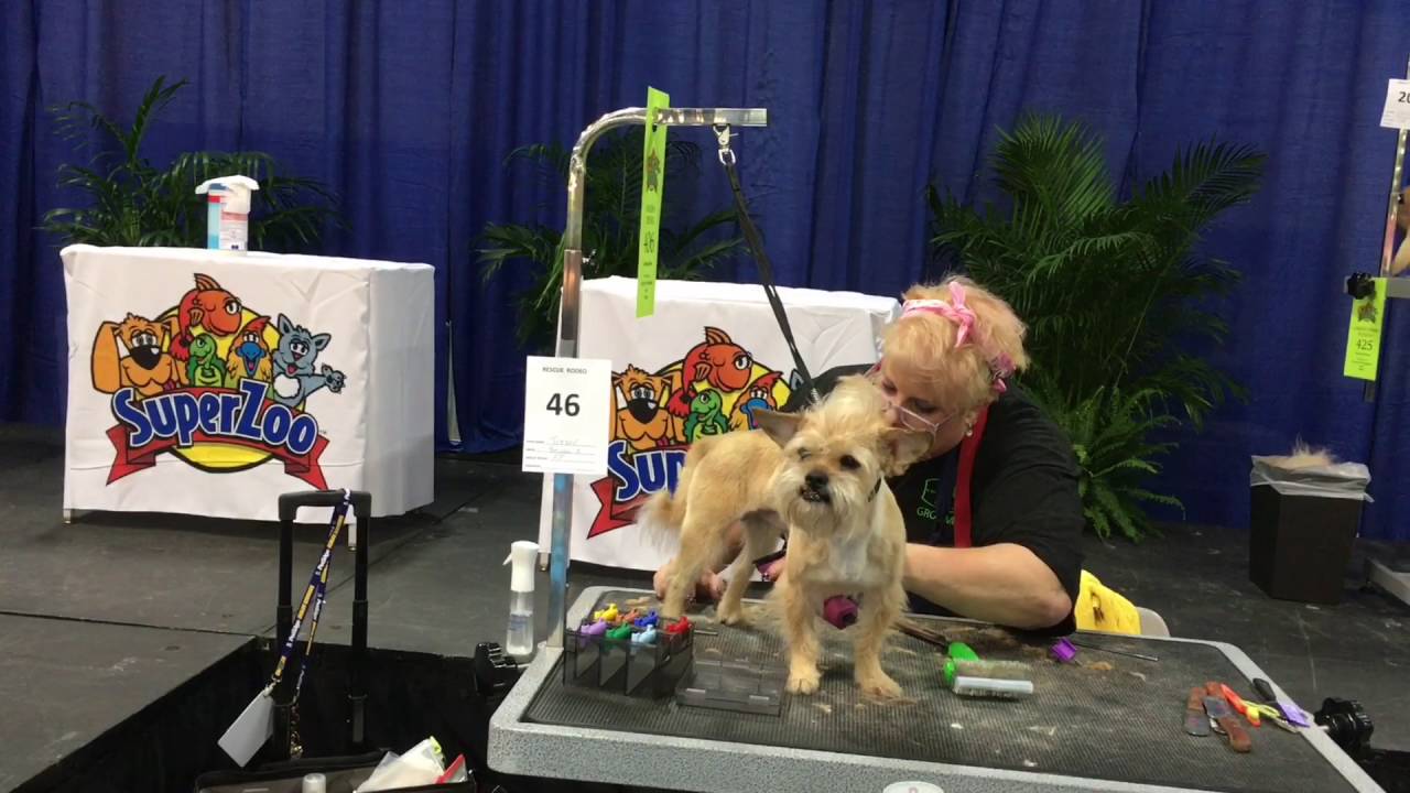 competing in Rescue Rodeo Super Zoo - YouTube