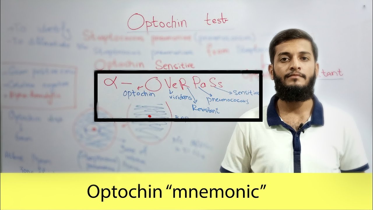 Easy way to remeber optochin test | mnemonic - YouTube