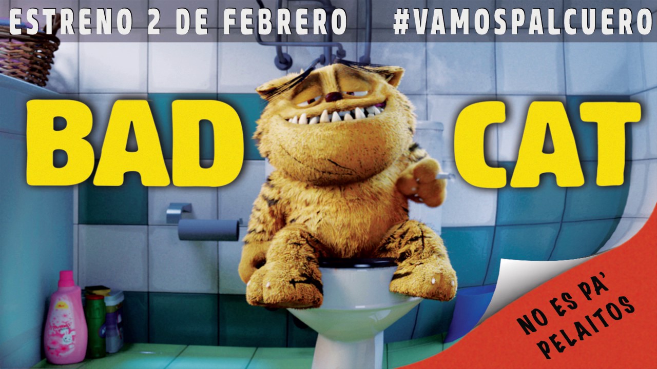 GATO MALVADO - Mr.Fox feat. Rasta Lloyd - YouTube