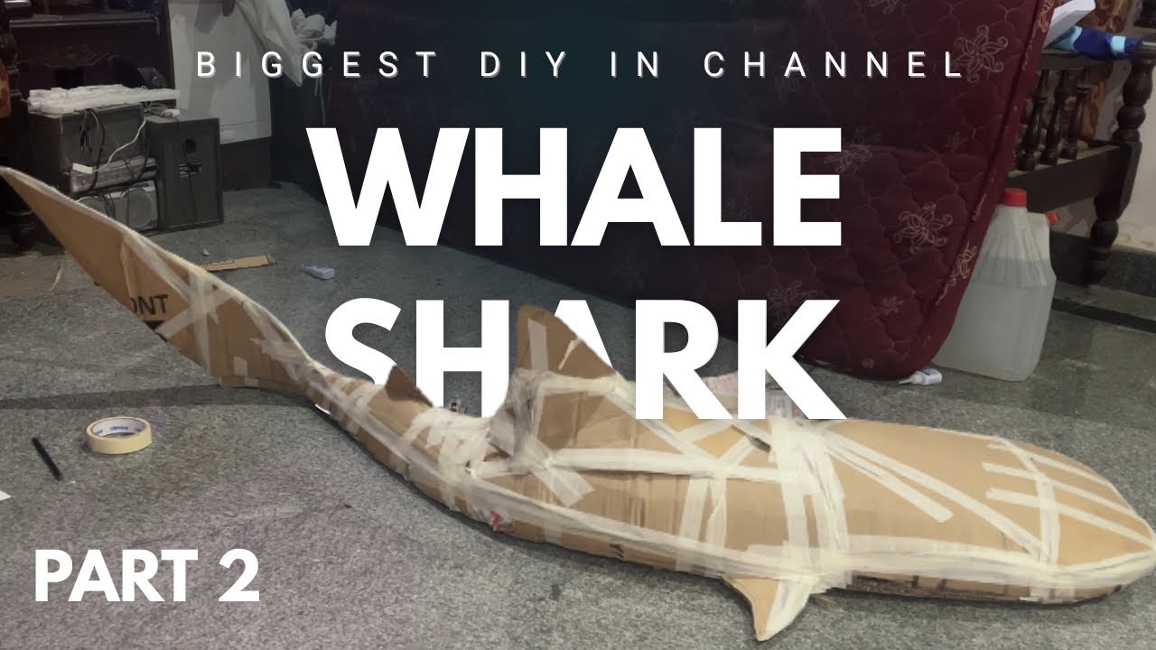 From Cardboard to Ocean Magic | Whale Shark DIY Part 2 - YouTube