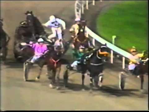 Harness Racing Accident,Harold Park (Margaret Frost) - YouTube