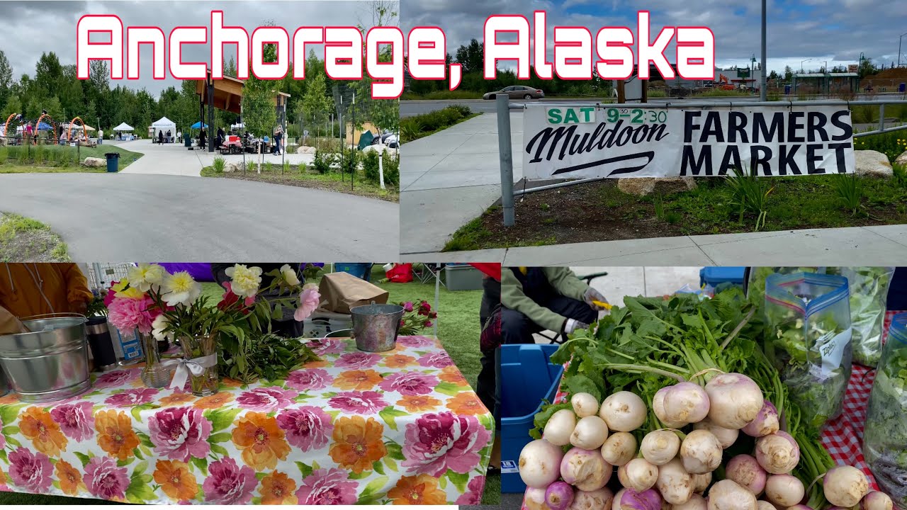 Farmers market Anchorage Alaska, bought some organic vegetables ...
