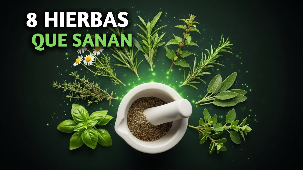 Transforma tu Salud con Estas 8 Hierbas Medicinales 🌿💪| Los Beneficios ...