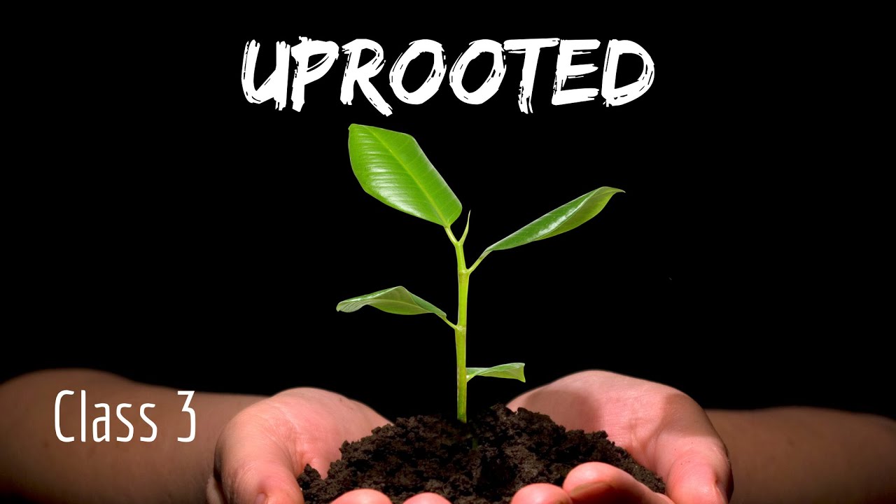 Uprooted 3 Being Different YouTube uprooted-3-being-different-youtube