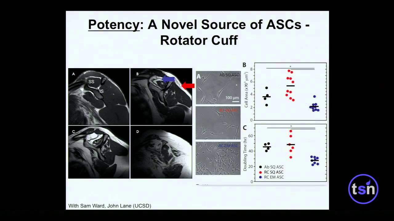 Stem Cells & Aging - Adam Engler, UC San Diego - YouTube