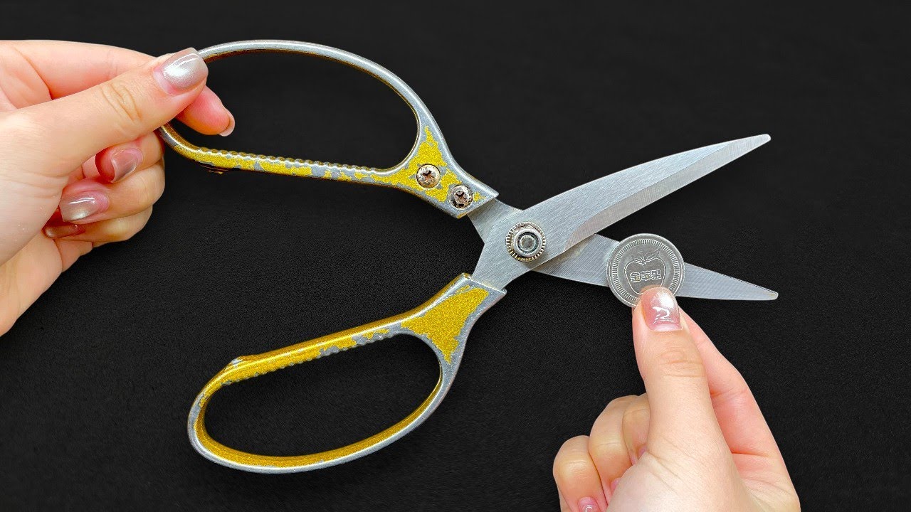 Turn Dull Scissors into Razor SHARP with just 1 Coin – No Tools Needed ...