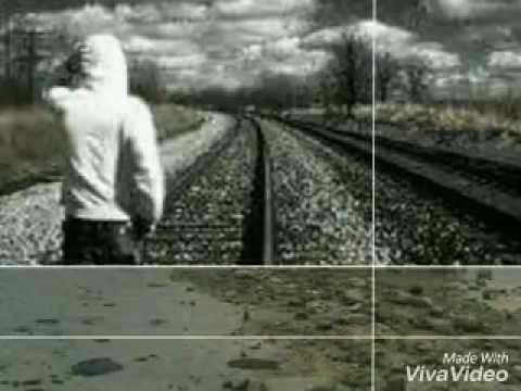 Elvin 2016 vidyo kilip