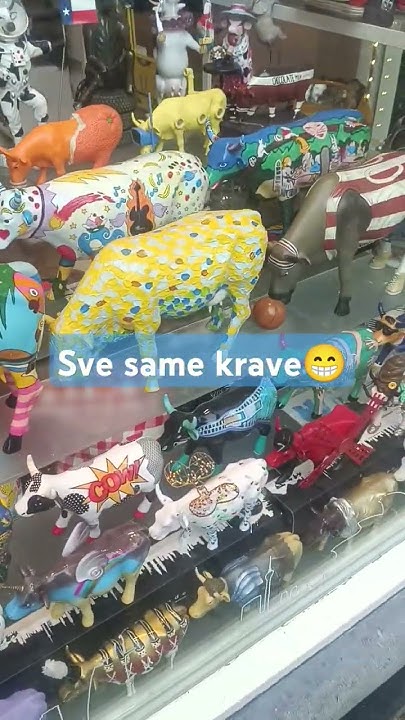 Bika nigde,a krava.... - YouTube