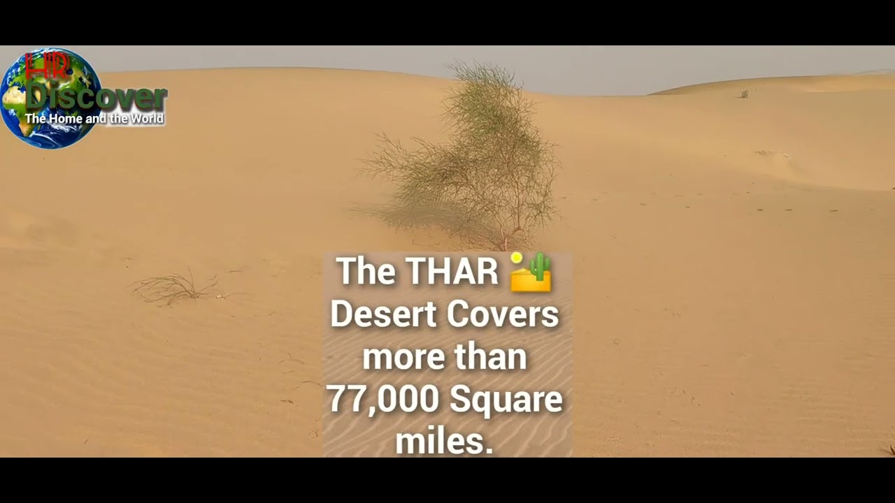 The Beautiful View of THAR Desert 🏜️@Discover the Beauty of India//The ...