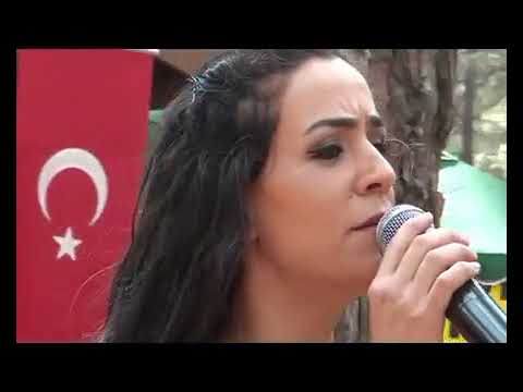 Gülcan Oktay   Karışık Türküler