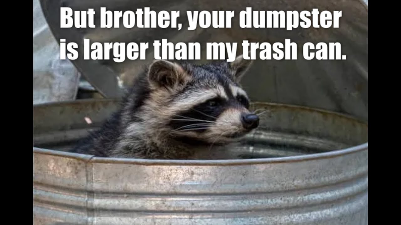 Brother, may I look in your dumpster? - YouTube