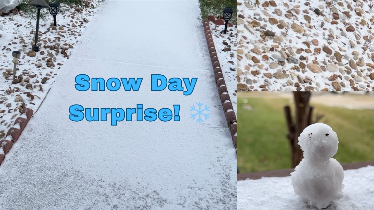 Snowfall in Austin: A Winter Surprise! 🌨️ ️ - YouTube