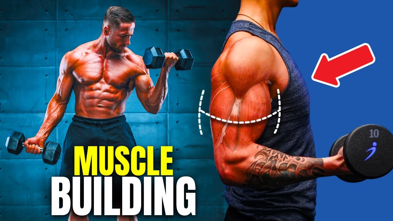 How to Gain Muscle and Strength with Effective Strength Training ...