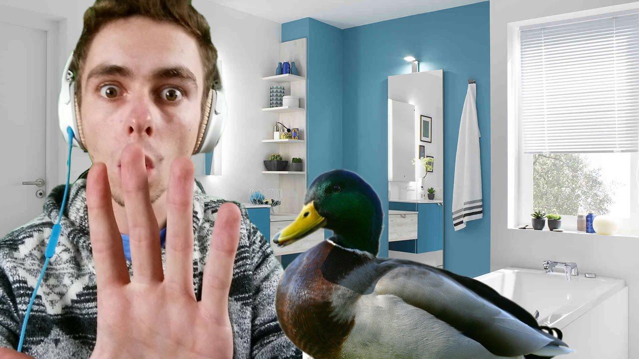 LES MAINS DE CANARD - YouTube