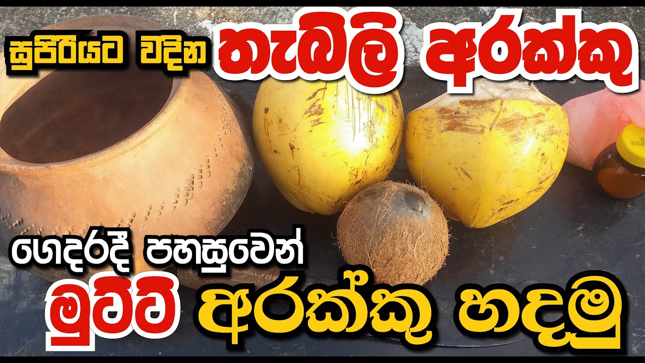 How to make arrack at home l අරක්කු හදන හැටි l Home made arrack toddy ...