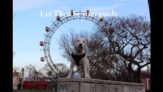 Alex Starke (Author of Thor's Travels)