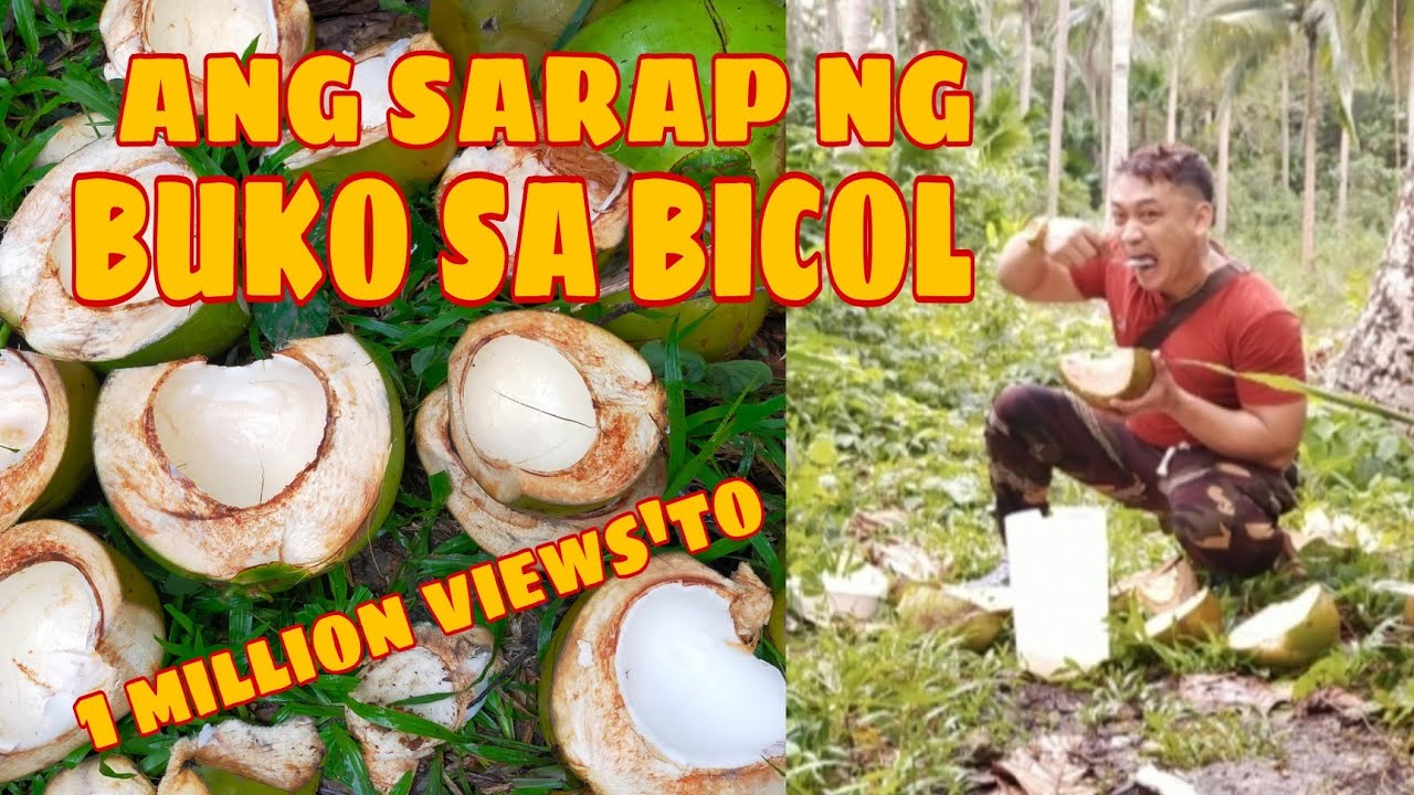 ANG SARAP NG BUKO SA BICOL || MALAUHOG - YouTube